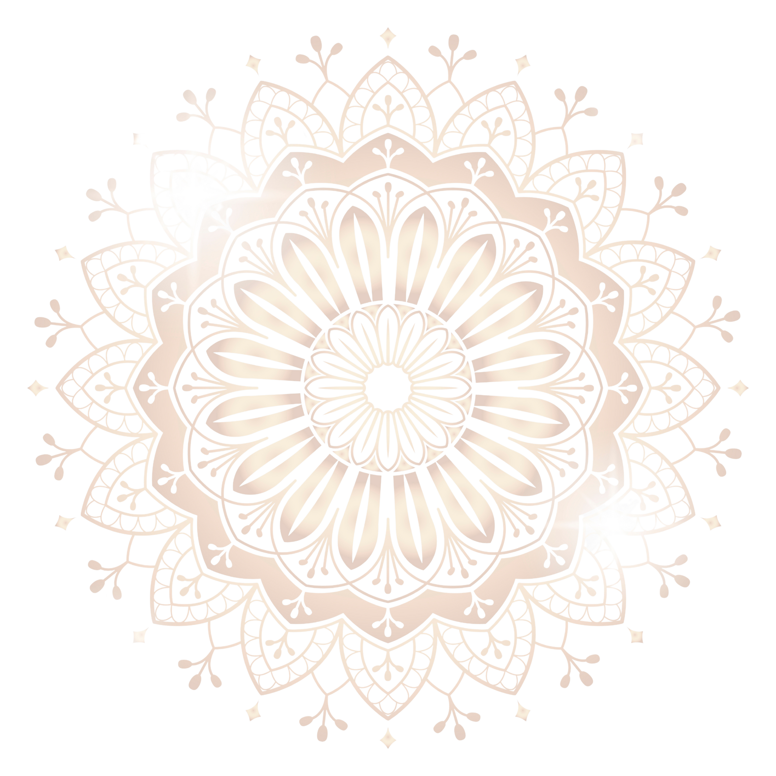 Shape Shifting Mastery